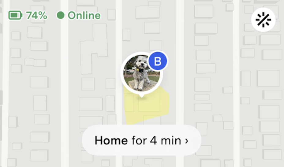 Live Tab – Help Center